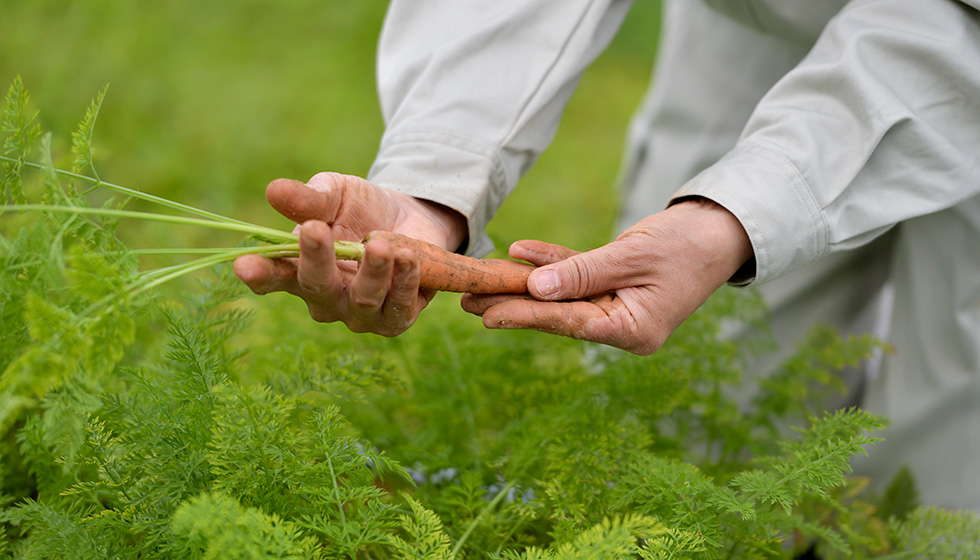 [3/20, 3/21] The Atta Terrace Club Towers / The Terrace Harvest ...