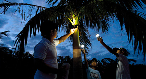 THE UZA TERRACE BEACH CLUB VILLAS