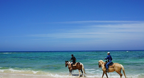 THE UZA TERRACE BEACH CLUB VILLAS